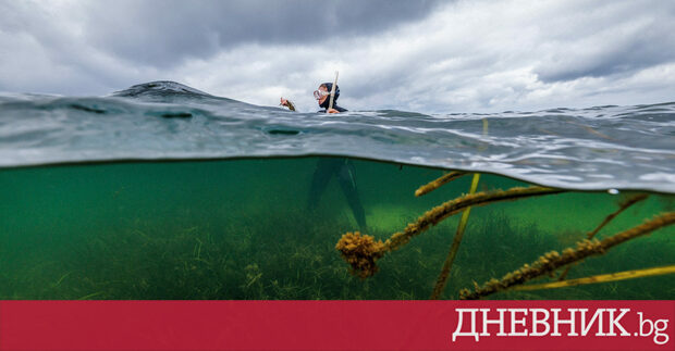 Снимка с история: Под водата | Дневник